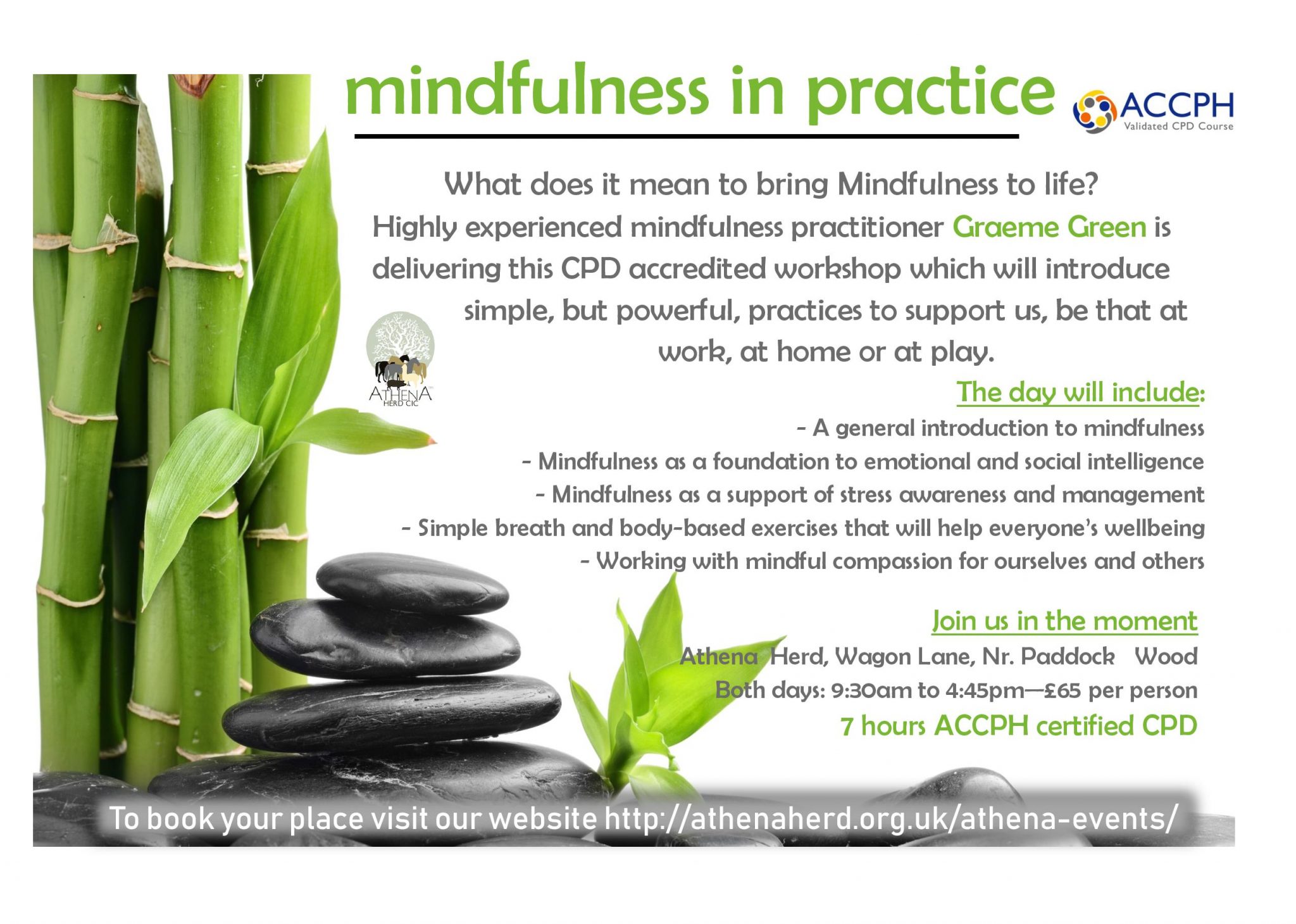 Mindfulness in Practice